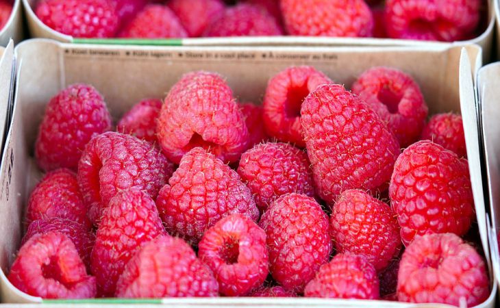 Всего несколько простых действий весной — и будете собирать малину ...